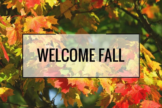 Hello There Fall 2022 – The Tony Burgess Blog